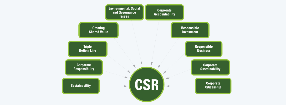 ST EXPORTS - Our Product